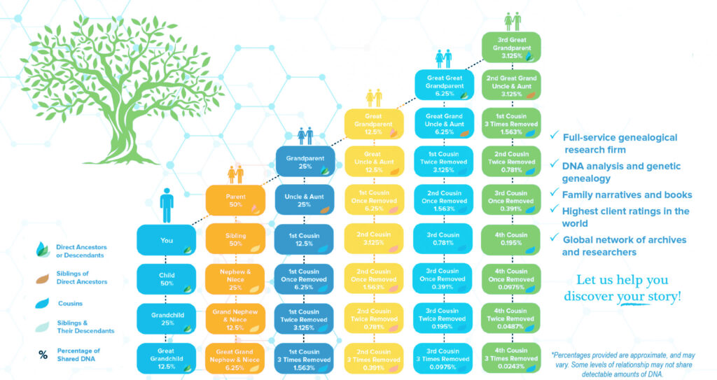 Understanding DNA Relationships with the Centimorgan Chart – Dna37