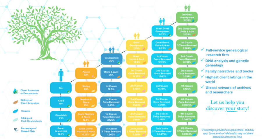 Understanding DNA Relationships with the Centimorgan Chart – Dna37